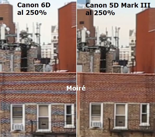 5D Vs 6D The 9 Biggest Differences Between The 5D Mark III And The 6D 5D Vs 6D The 9 Biggest Differences Between The 5D Mark III And The 6D